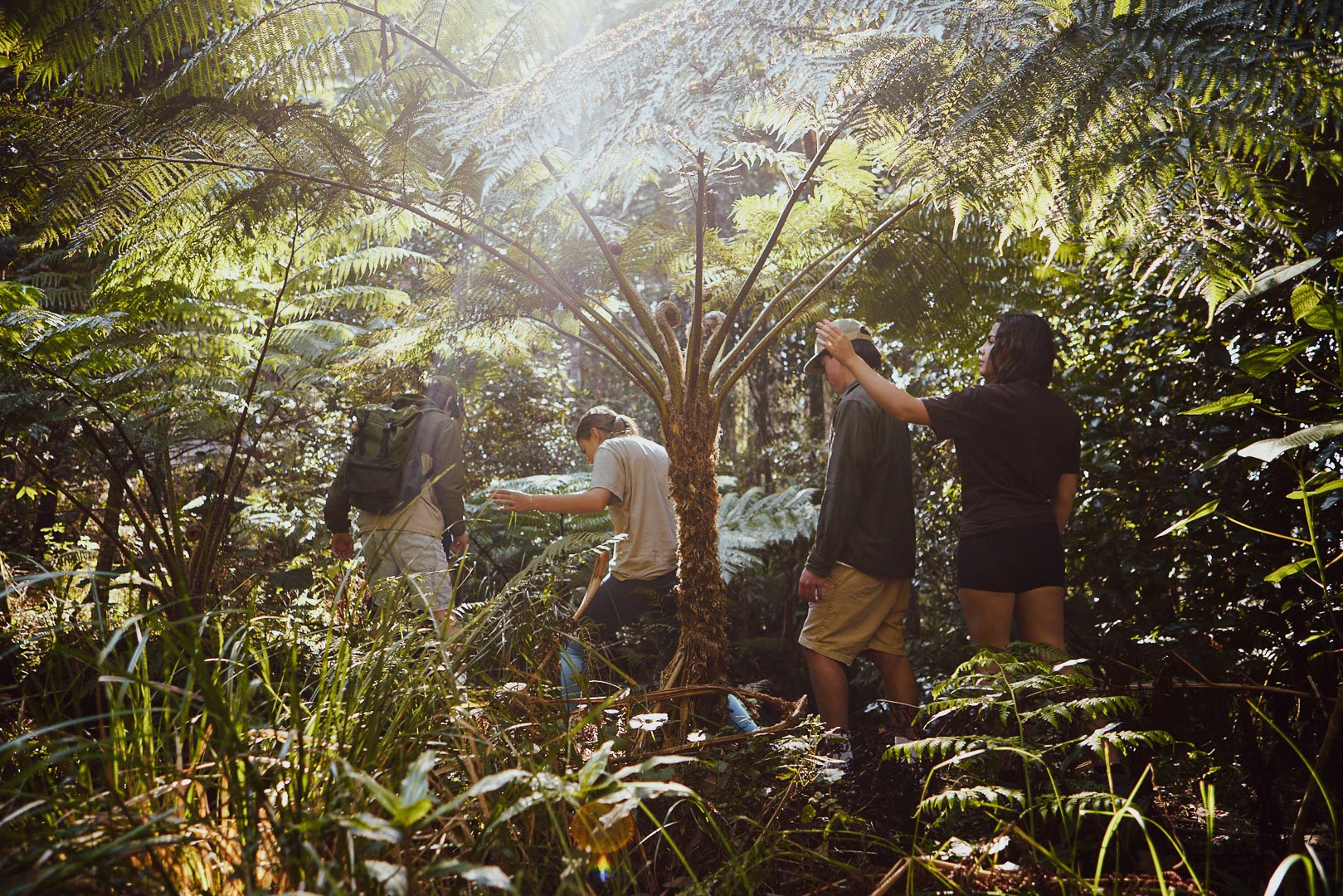 The Edge Park Pass | Happitat